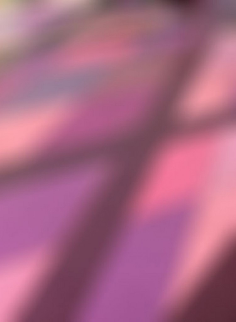 cropped-cropped-Blur-Website-Header.jpg – TRAVELLING BANANA